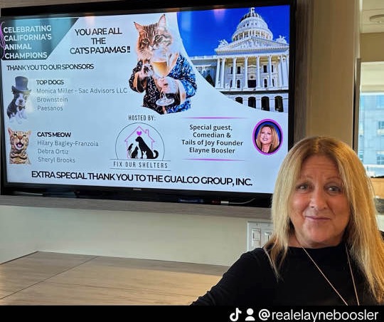 Elayne Boosler, Author at Elayne Boosler